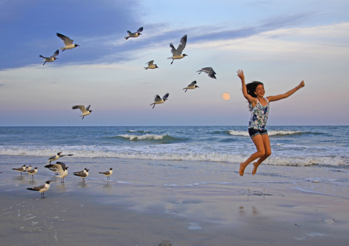 2021 Amateur Photo Contest Announcement – Stone Harbor Property Owners ...