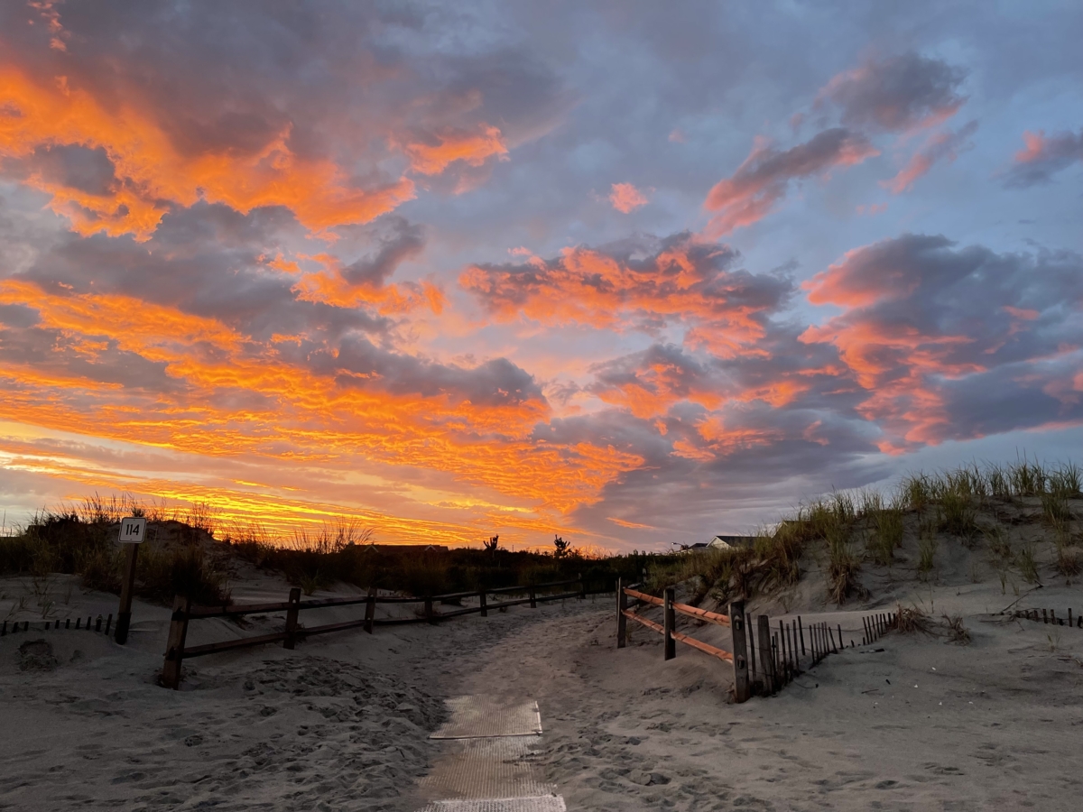2022 Amateur Photo Contest Winners – Stone Harbor Property Owners ...